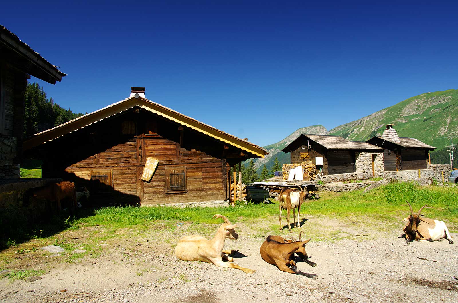 Galerie Photo - - Vallée d'Aulps