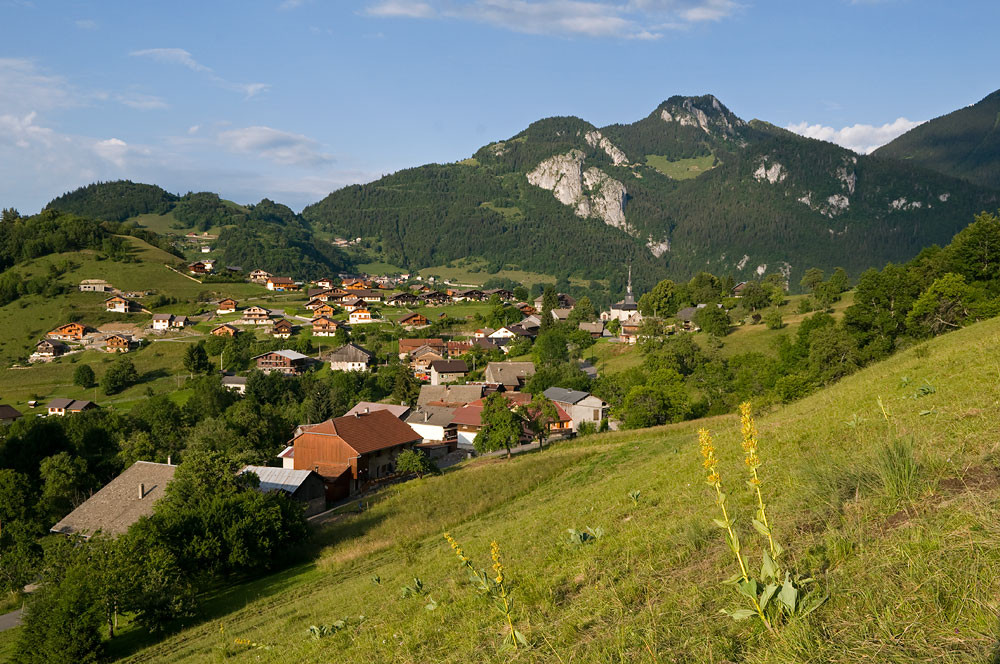 La Vernaz | Vallée d'Aulps