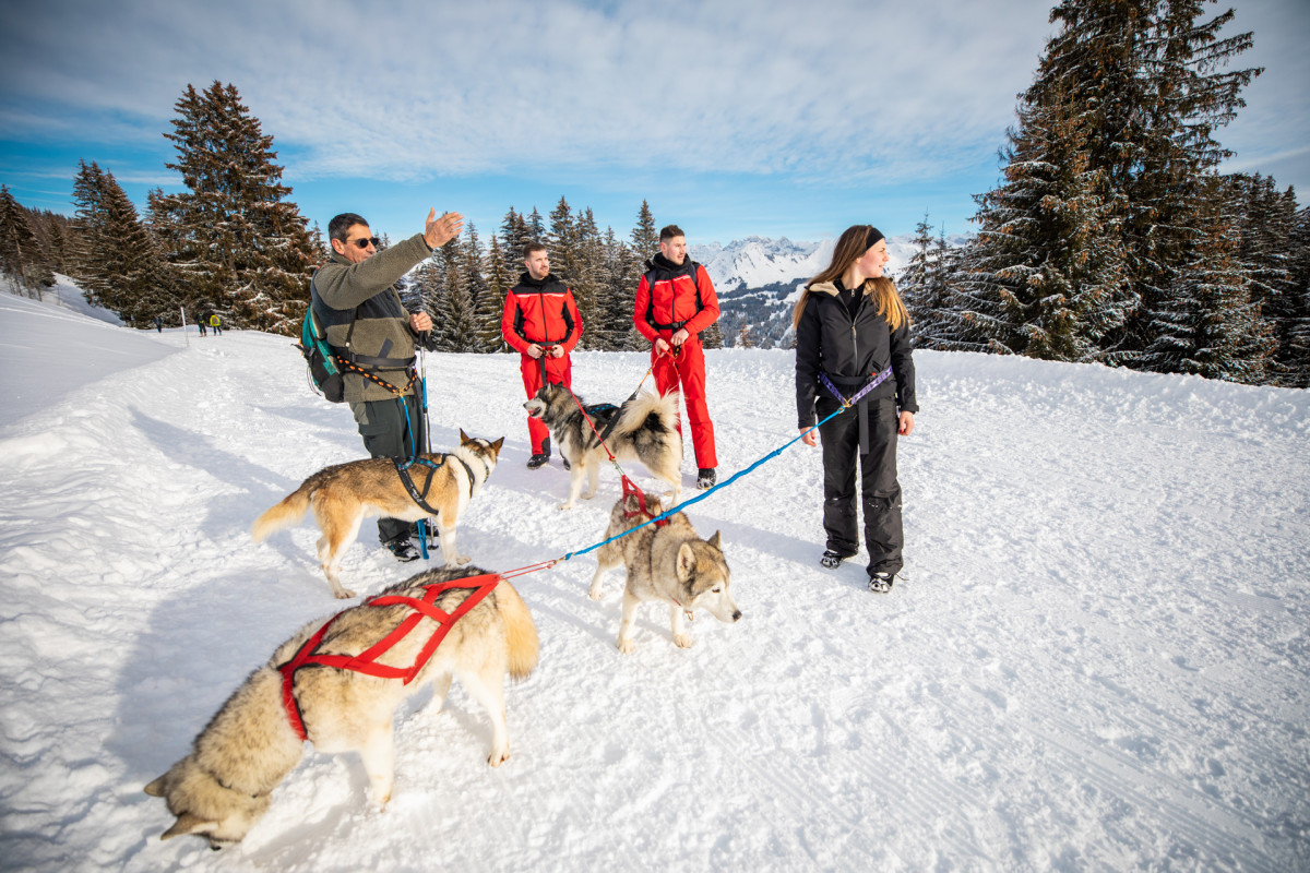 Cani-rando - Sortie cani-rando - Les Gets | Vallée d'Aulps
