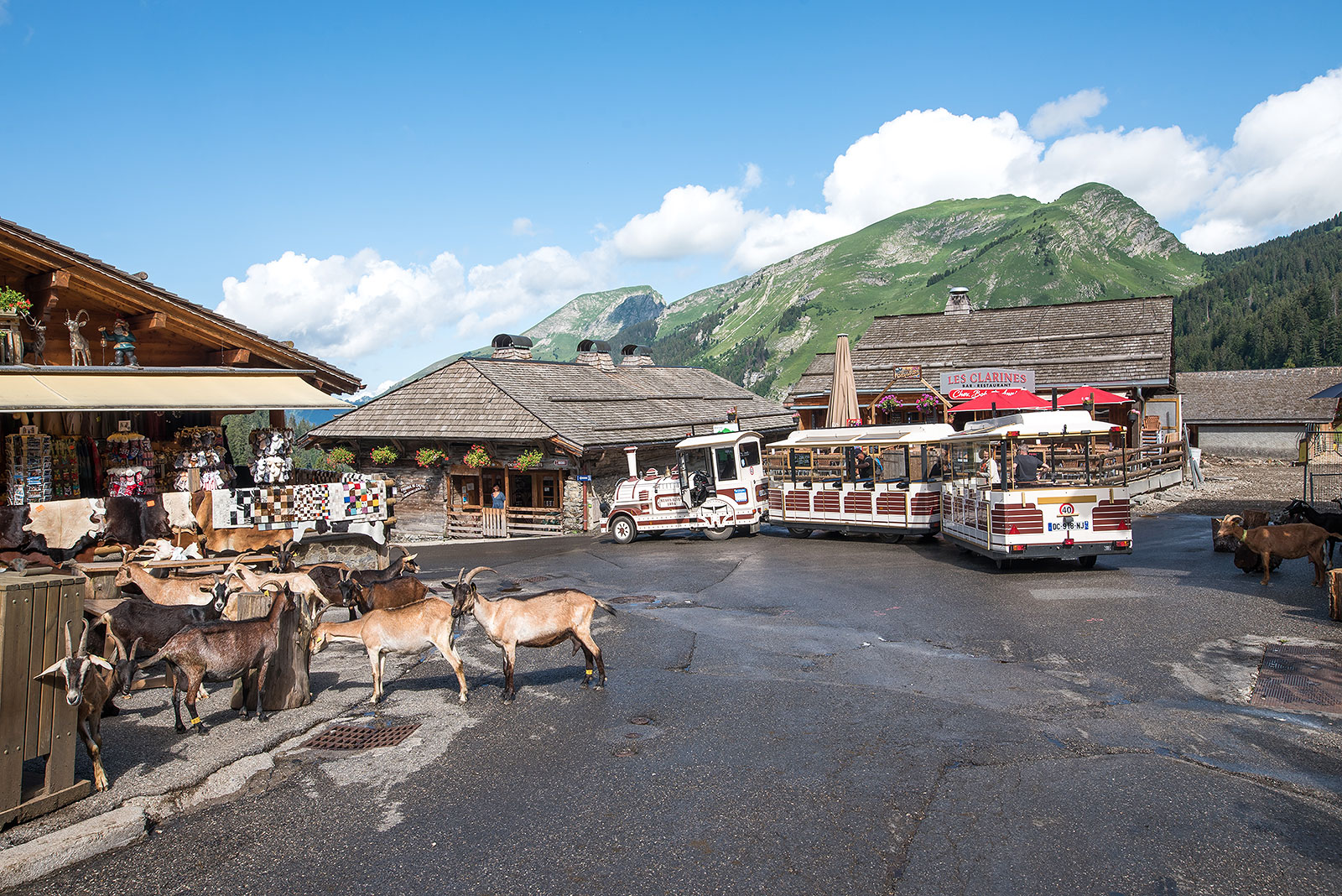 Les Lindarets, village des chèvres